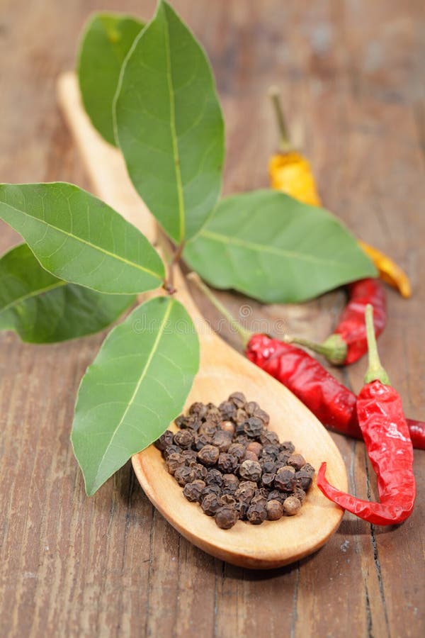 Spice stock image. Image of pepper, green, twig, leaves - 12752825
