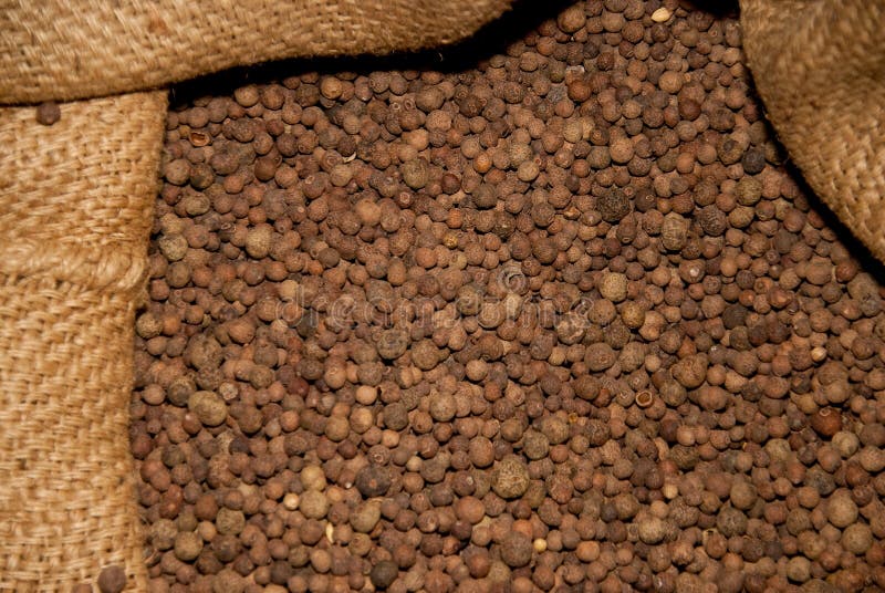 Spice stock photo. Image of aromatic, cook, sharp, seasoning - 9131786