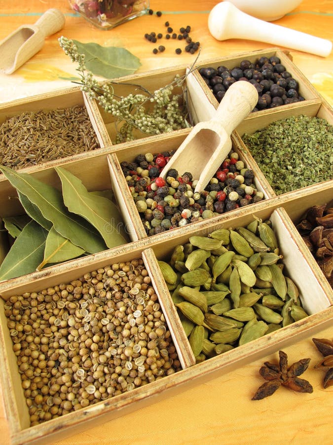 Spice box stock photo. Image of case, laurel, herbs, cardamom - 22645698