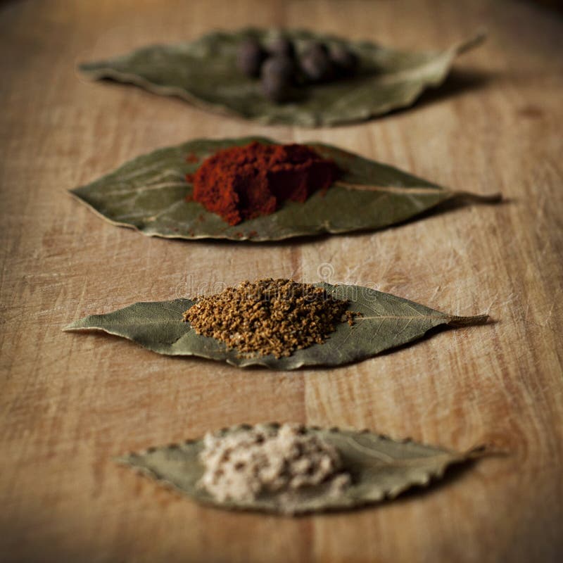 Spice stock photo. Image of pepper, still, spice, leaf - 30400004