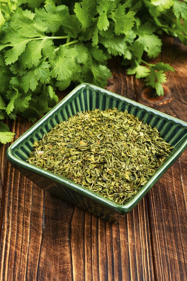 Spice Fresh and Dry Coriander Stock Image - Image of foliage, cilantro ...