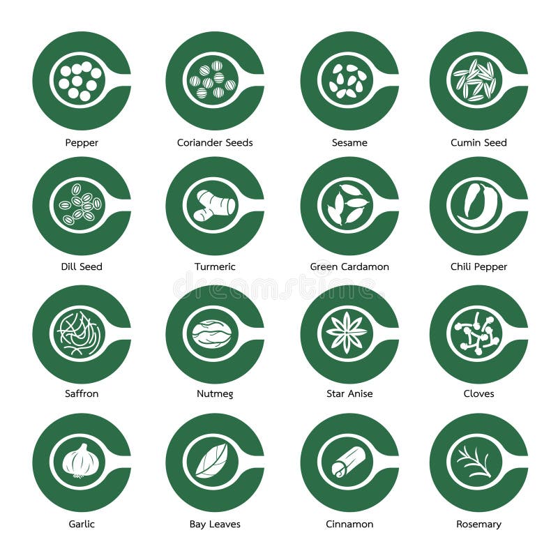 Spice icon collection stock vector. Illustration of garlic - 277696927