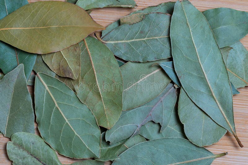 Spice Leaves Bay Leaf Stacked on the Surface. Flat Lay Stock Photo ...