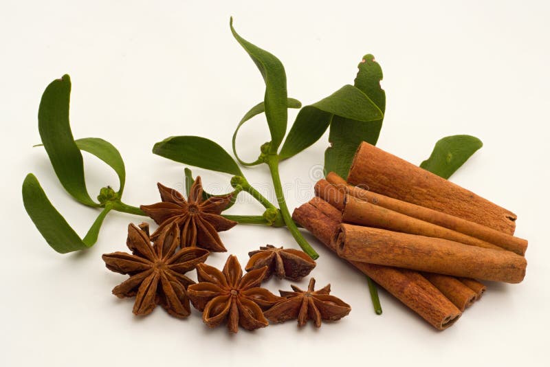 Spice and mistletoe twig stock image. Image of cinnamon - 48154903