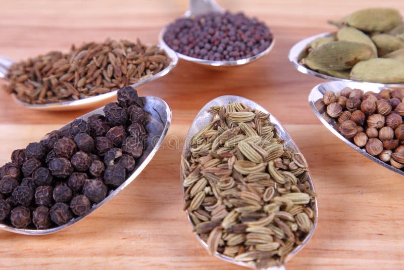 Six Spice Seeds stock photo. Image of teaspoon, spice - 11921464