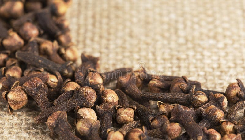 Spice Texture of Fresh Dried Cloves on Vintage Background Stock Image ...