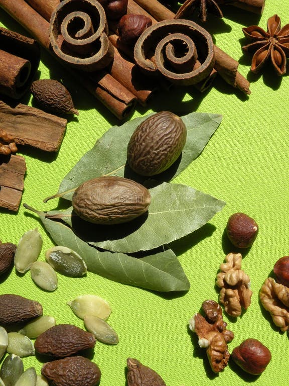 Spices stock photo. Image of anis, muscat, assortment - 25648736