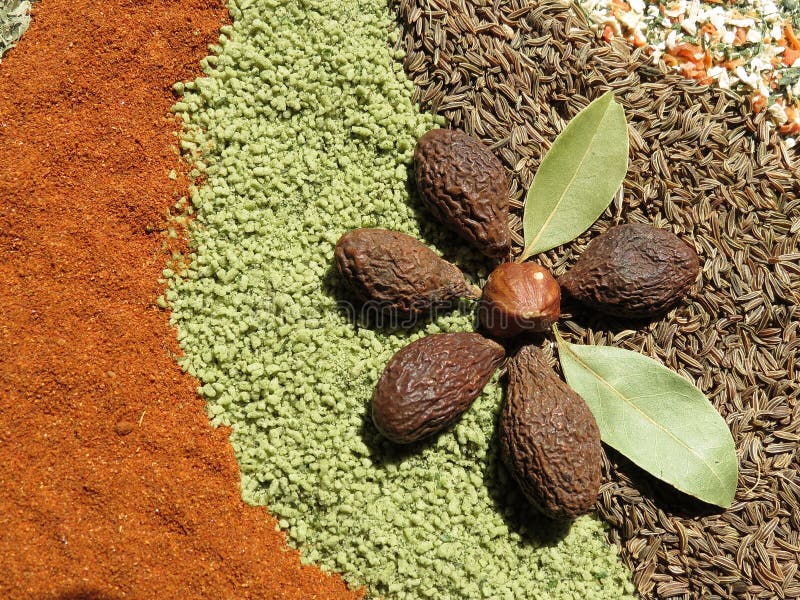 Spices stock image. Image of spice, seed, brown, cumin - 26322235