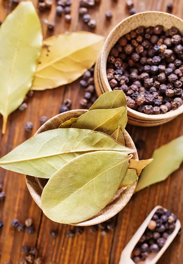 Dry laurel stock image. Image of mediterranean, food - 46126921