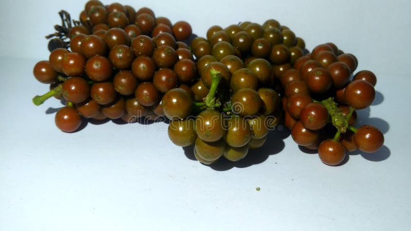 Spices from Central Java,spices in the White Background Stock Photo ...