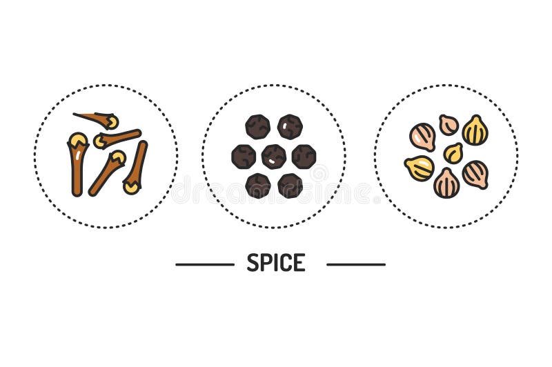 Spices Color Line Icons Concept. Vector Illustration Stock Vector ... Spices Color Line Icons Concept. Vector Illustration Stock Vector ...