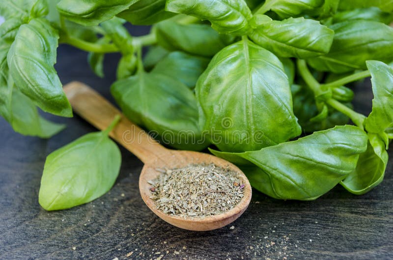 Fresh and ground basil stock image. Image of table, retro - 124256715