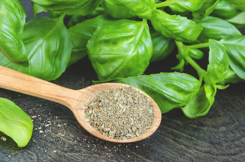 Fresh and ground basil stock image. Image of seasoning - 124257161
