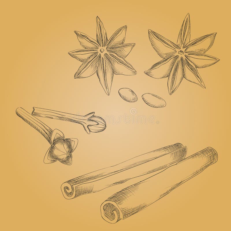 Spices Drawing Stock Illustrations – 6,971 Spices Drawing Stock ...