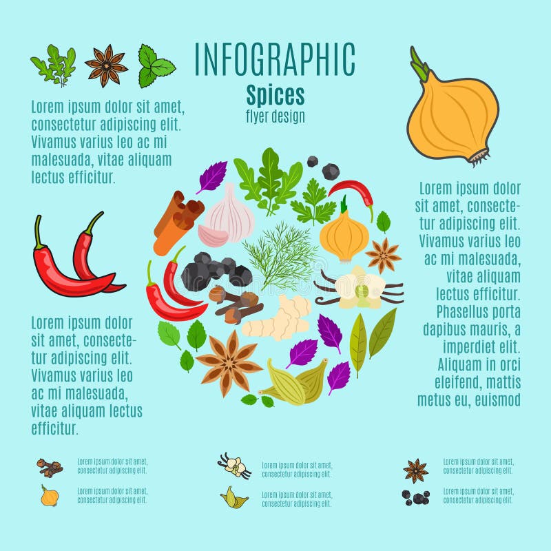 Spices Infographic with Herb and Seasoning Charts Stock Vector ...