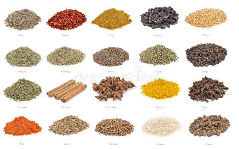 Spices. Large Collection of Spices with Name Titles Stock Image - Image ...