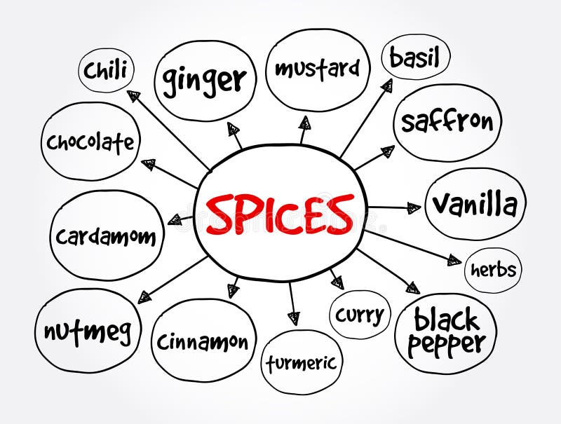 Spices Mind Map, Concept for Presentations and Reports Stock Illustration - Illustration of ...