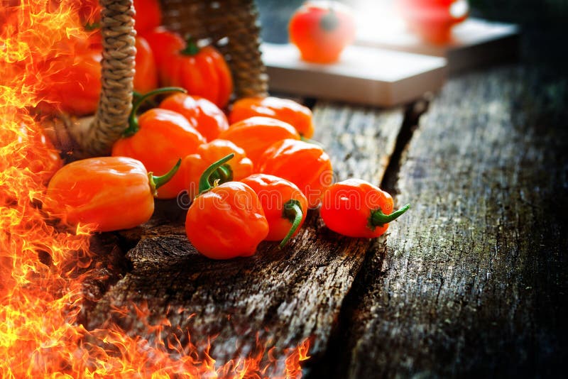 Spices, Pepper and Fire Burn Stock Photo - Image of vegetarian, burn ...