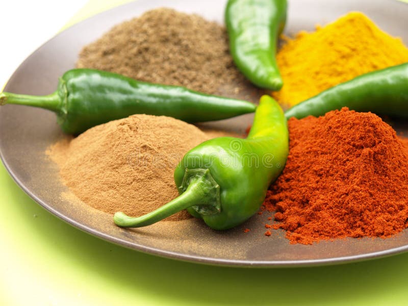 Spices on plate stock image. Image of fresh, herb, indian - 26060305