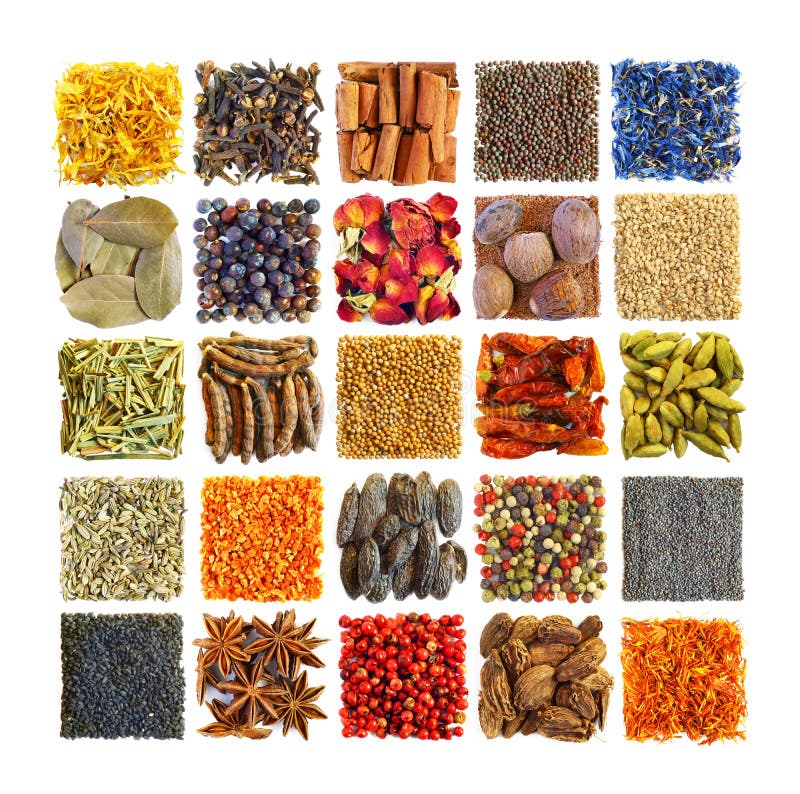 Spices and Seasonings in Square Composition Stock Photo - Image of ...