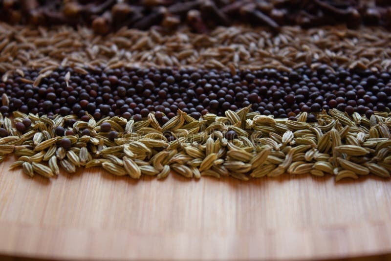 Spices and Seeds Commonly Used in Indian Cuisine Stock Image - Image of ...