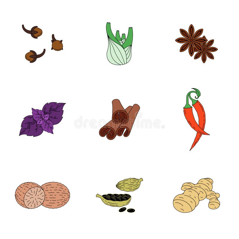 Spices Set of Colored Icons Stock Vector - Illustration of cartoon ...