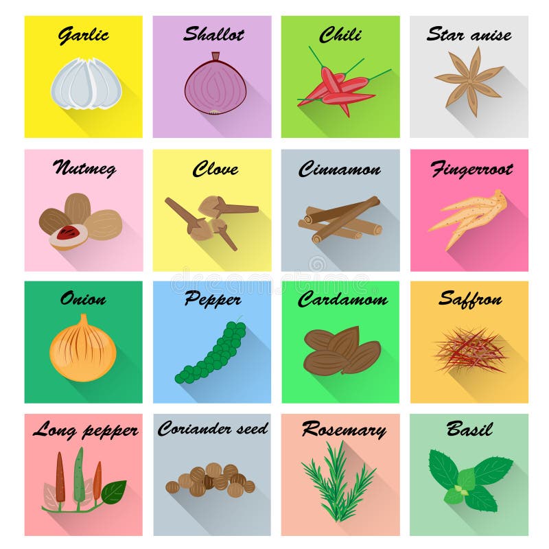 Spices vector set stock vector. Illustration of decorative - 41823199