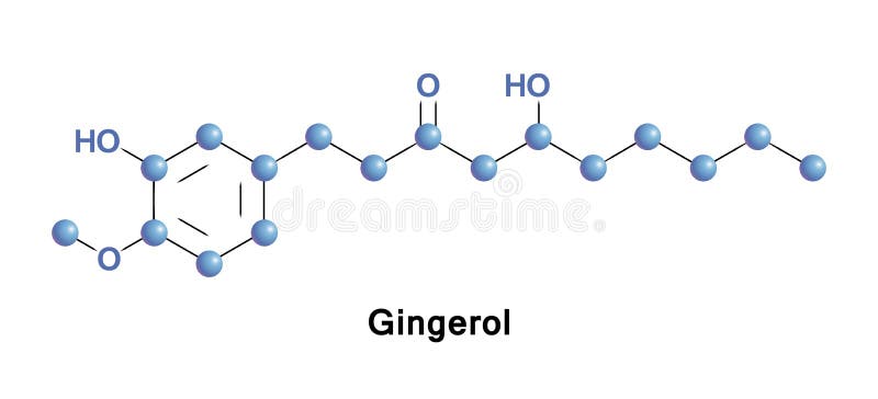 Molécula De Gingerol. é Um Composto Fitoquímico Fenol Que Se Encontra ...