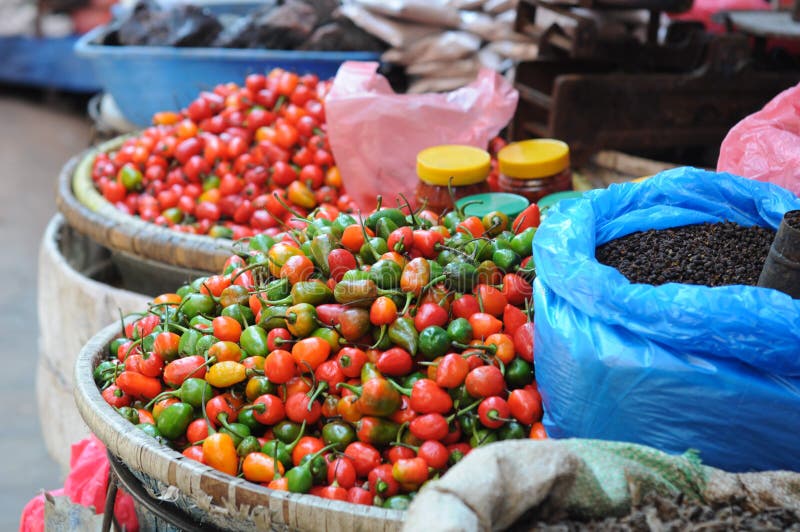 Hot Chilli stock image. Image of spicy, chilli, food - 192397757
