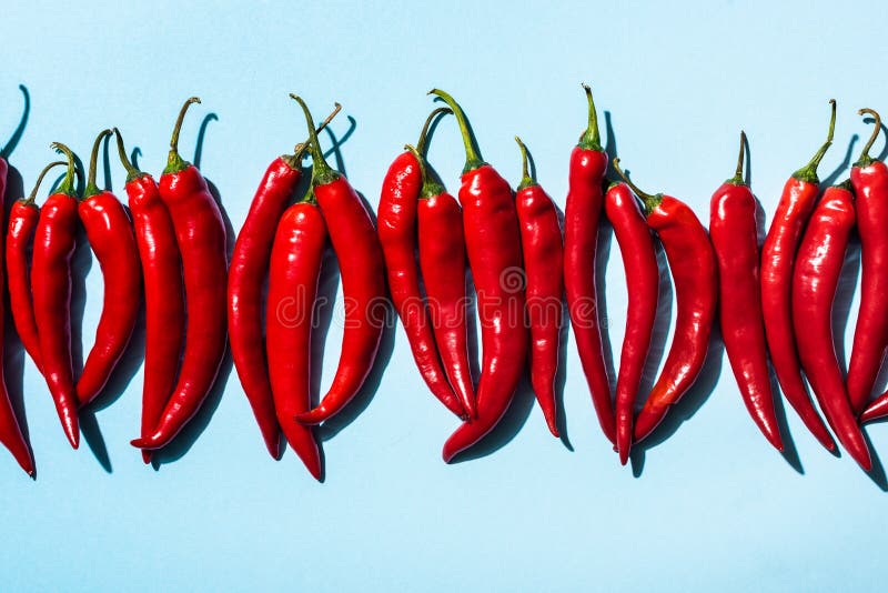 Spicy Chili Peppers on Blue Background Stock Image - Image of view ...