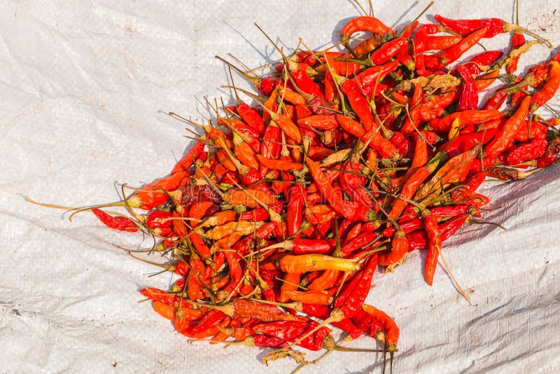 Spicy chili stock image. Image of fruit, chili, produce - 83356653