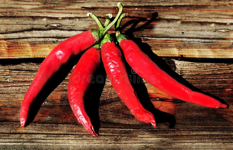 Spicy Chillies on a Wooden Table Stock Photo - Image of foggia, acerbic ...