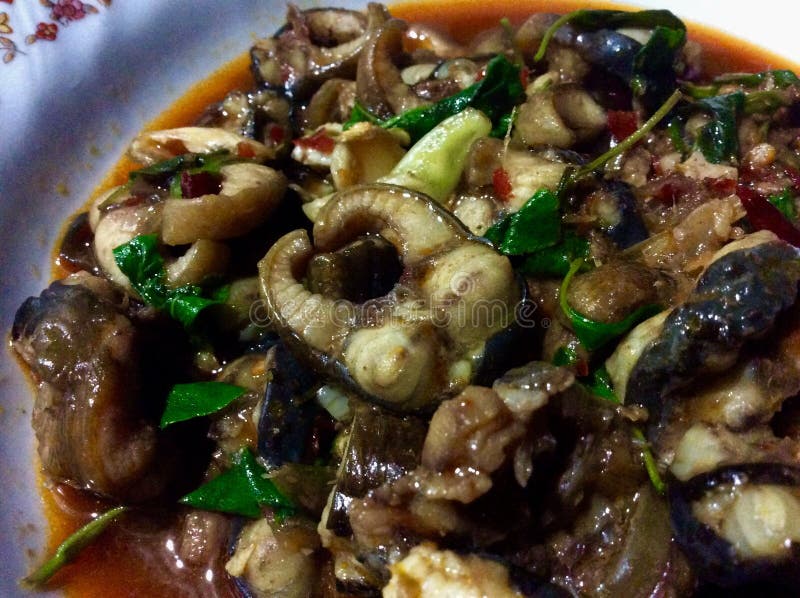 Spicy fried eel stock photo. Image of spicy, garlic, thai - 71326248