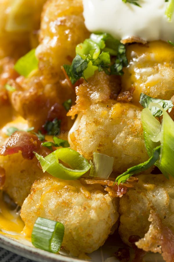 Spicy Homemade Loaded Taters Tots Stock Image - Image of crunchy ...