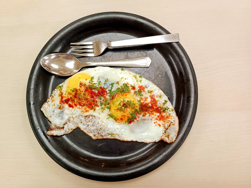 Spicy Indian Egg Half Fry-2 Stock Image - Image of white, indian: 268589123