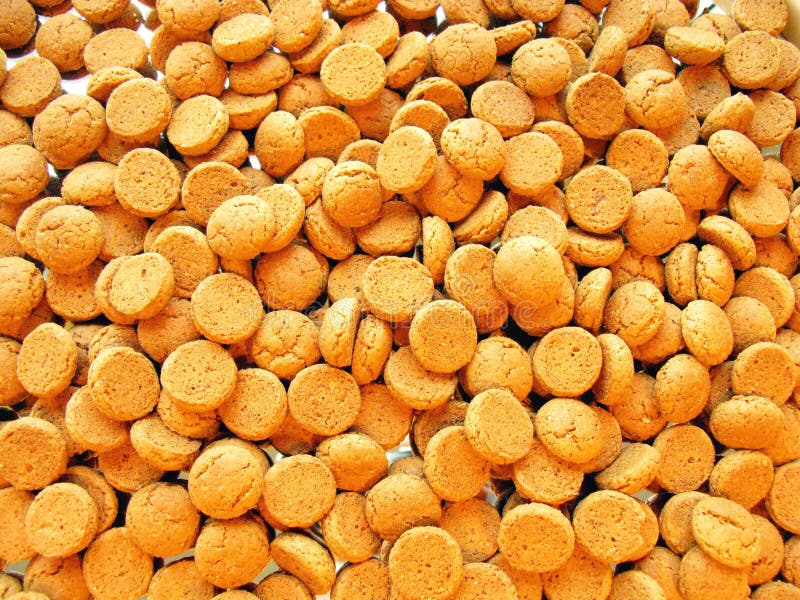 Funny zebra stock photo. Image of teeth, mammal, grinning - 5683794