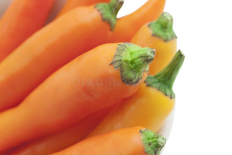 Spicy orange chili stock image. Image of fragrant, indian - 27165601