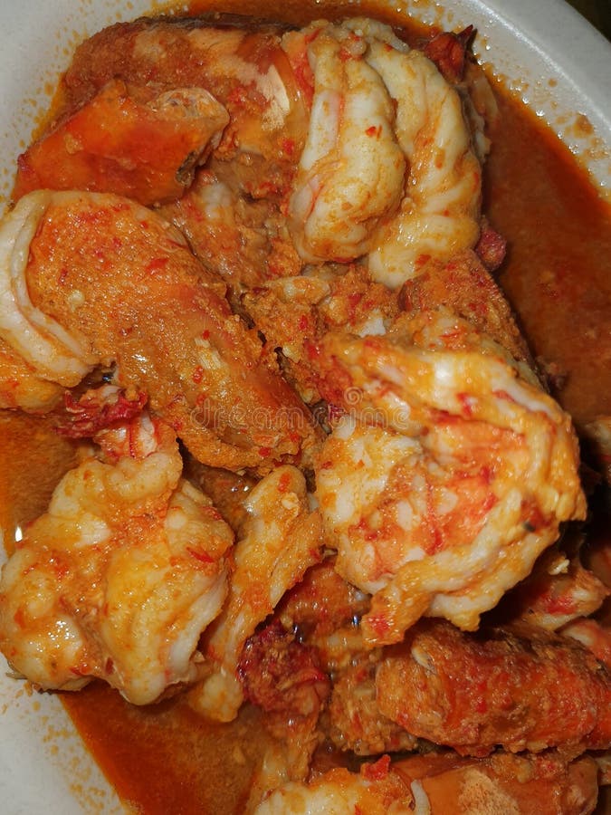 Spicy prawn dish stock photo. Image of spicy, prawn - 230351552