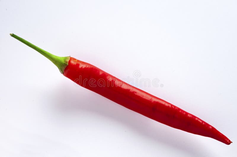 Spicy red chilli stock photo. Image of green, spice, curve - 56483252