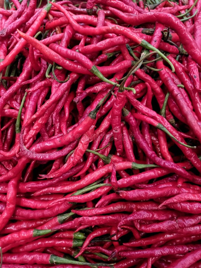 Spicy Red Chilly Background and Texture Stock Image - Image of ...