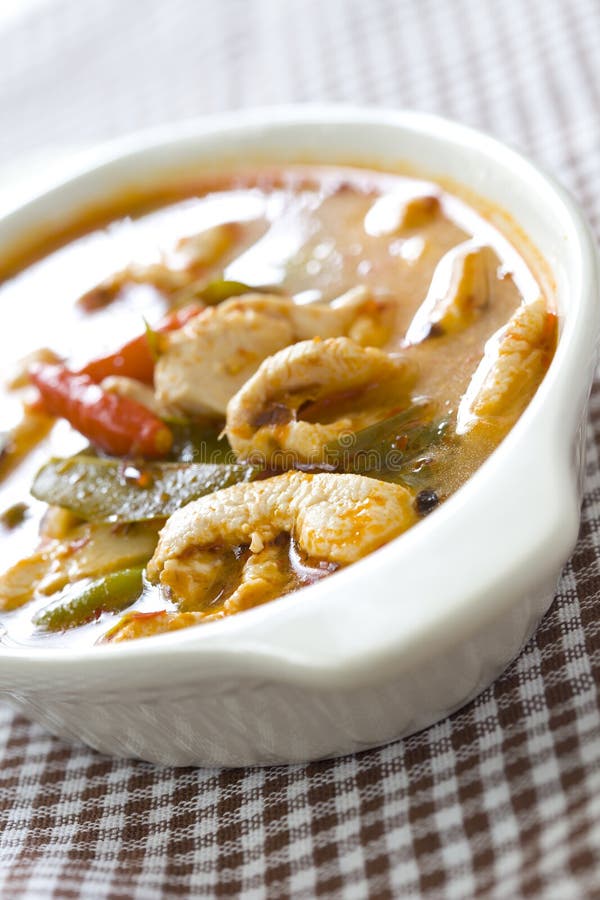 Spicy sour chicken tom yum stock photo. Image of spicy - 27360162