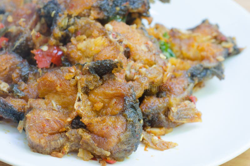 Spicy Stir Fried Catfish on Dish Stock Image - Image of fried, dinner ...