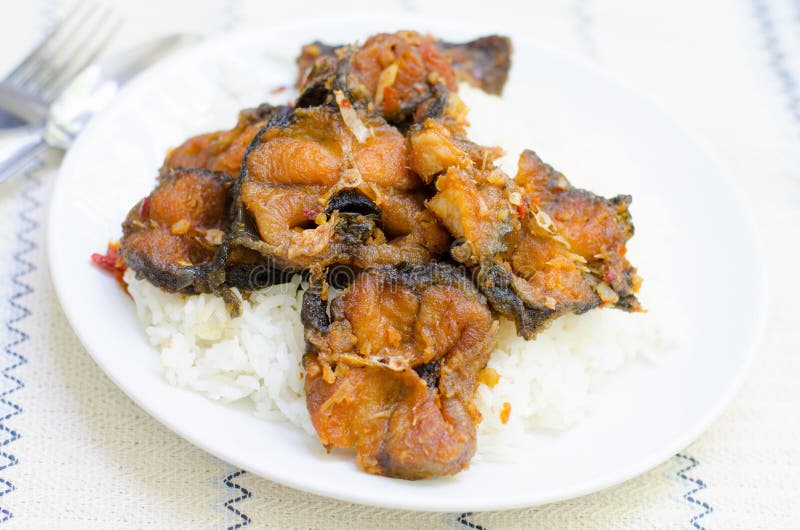 Spicy Stir Fried Catfish on Dish Stock Image - Image of thai, spoon ...