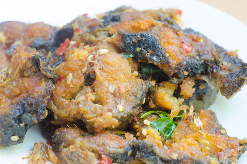 Spicy Stir Fried Catfish on Dish Stock Image - Image of macro ...