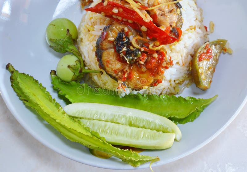 Spicy Stir Fried Catfish on Rice Stock Image - Image of meal, stir ...