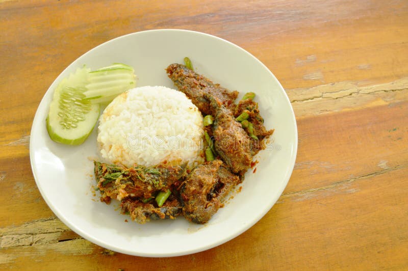 Spicy Stir Fried Crispy Catfish Curry with Rice on Plate Stock Image ...