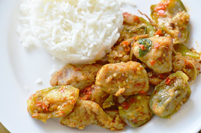 Spicy Stir Fried Fish Ball Eggplant and Chili with Plain Rice Stock ...