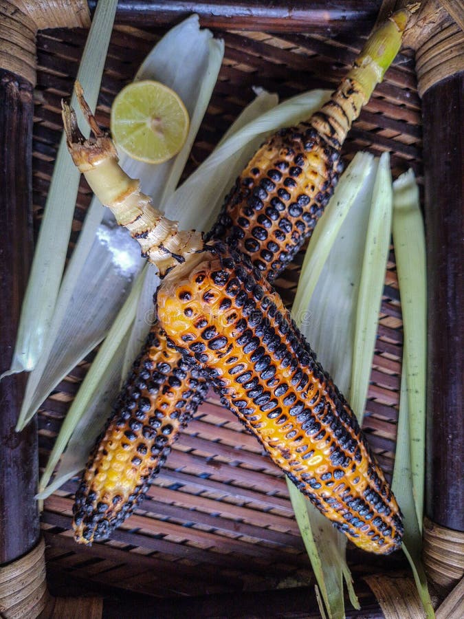 Indian Corn Angles Stock Photos - Free & Royalty-Free Stock Photos from ...