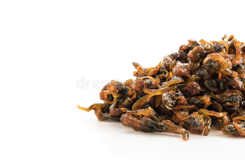 Spicy and sweet razor stock image. Image of food, healthy - 88575463