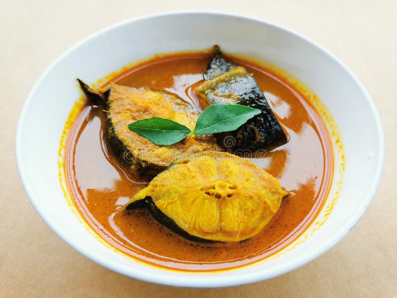 Spicy and Tasty Fish Curry Dish. Stock Photo - Image of spicy, curry ...